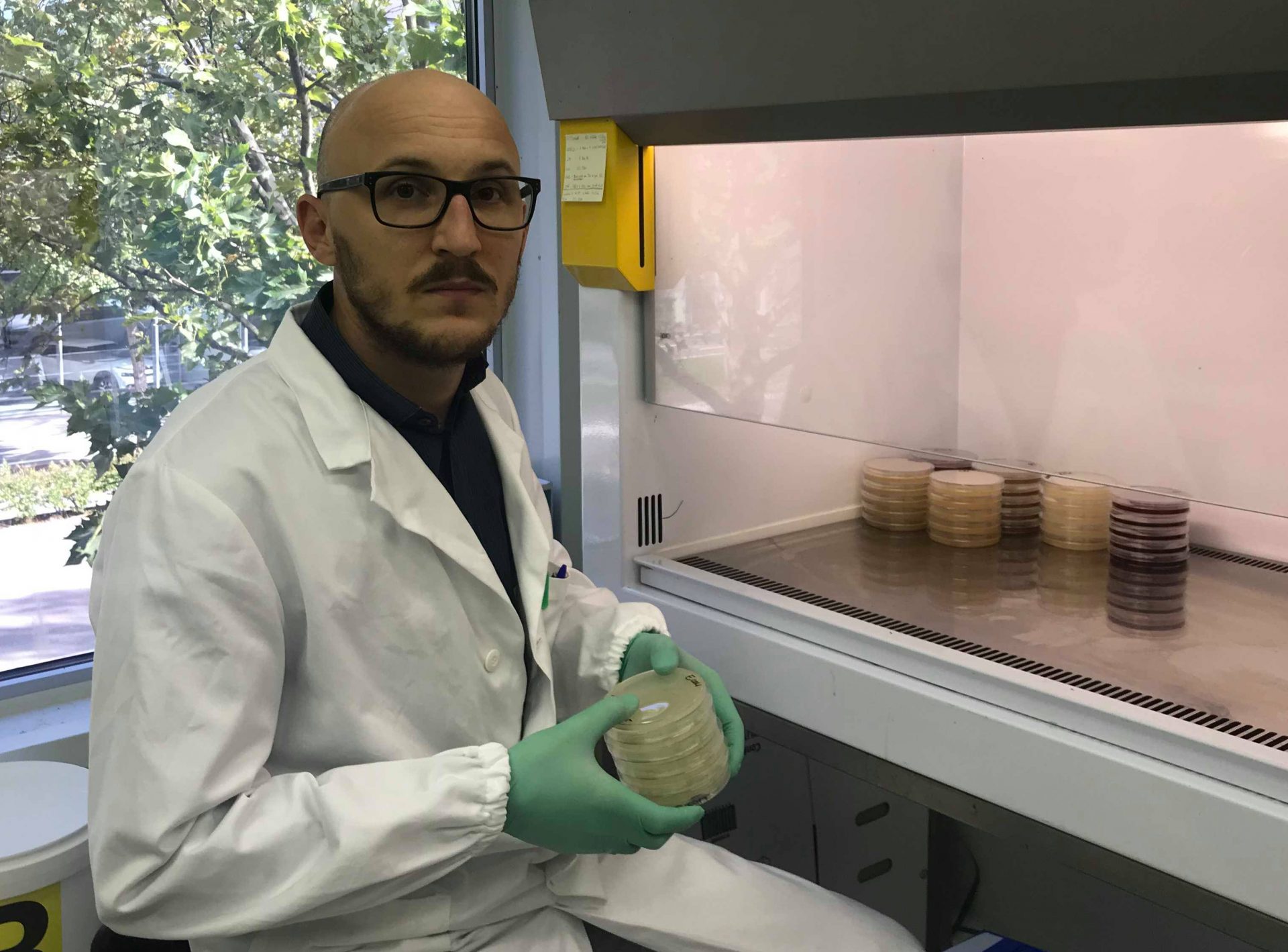 Alimentazione clinica e integratori proteici innovativi - Industry is IN